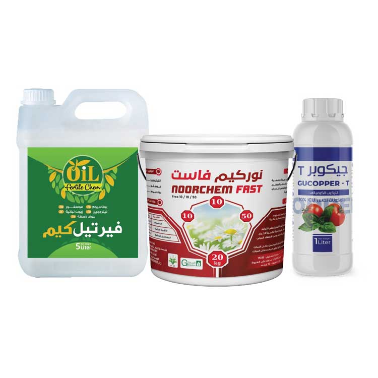 دي+جاي+قولس in Egypt | Egypt Yellow Pages