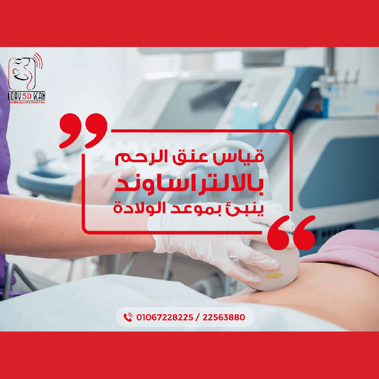 Loay 3D And 4D Scan Center, Heliopolis, Phone and Address | Doctors | Egypt Yellow Pages