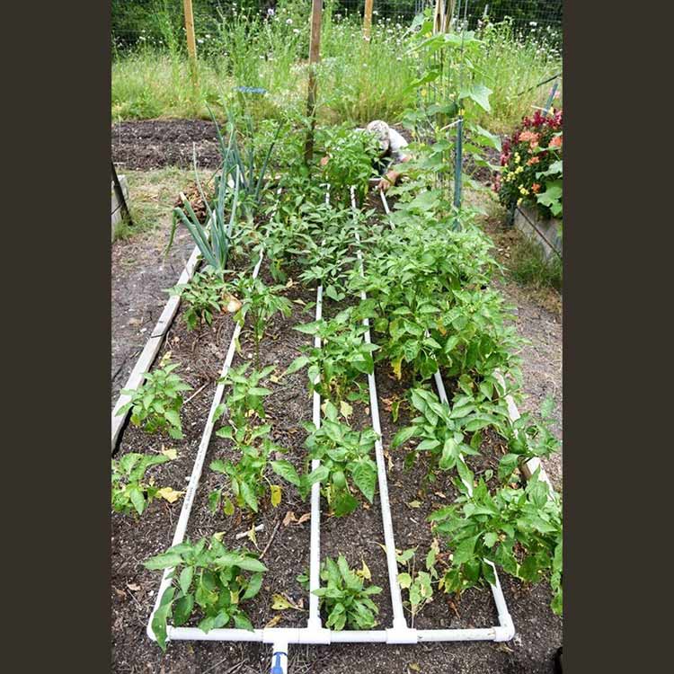 وادي+الرمة in Egypt | Egypt Yellow Pages