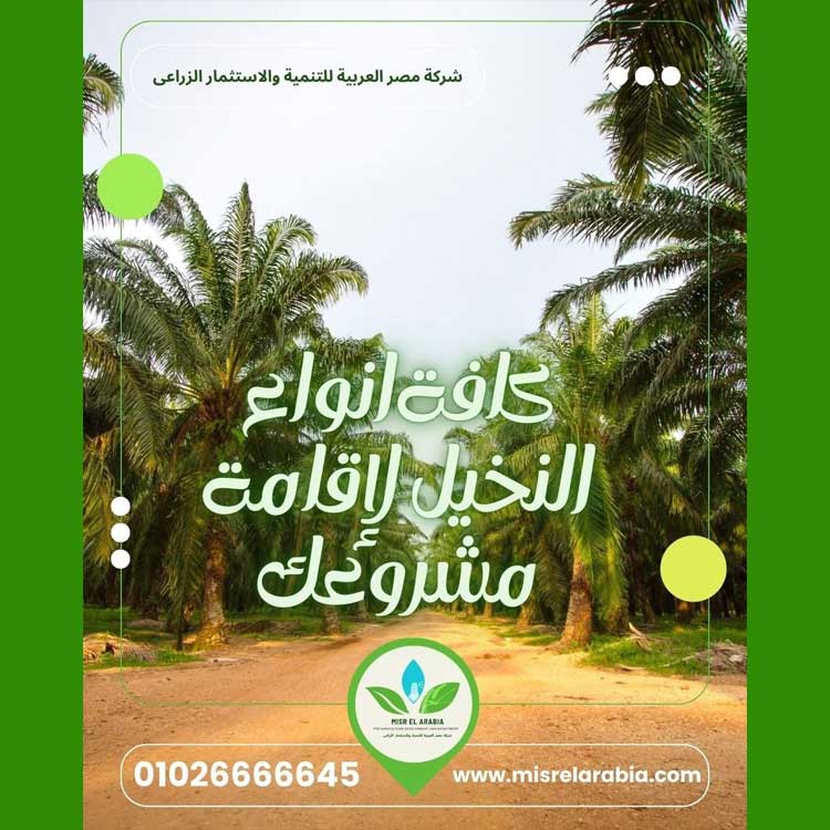 aluminium+investment+casting in Egypt | Egypt Yellow Pages