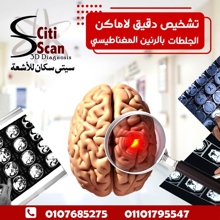 اكادمية+مانشيستر+سيتي in Egypt | Egypt Yellow Pages