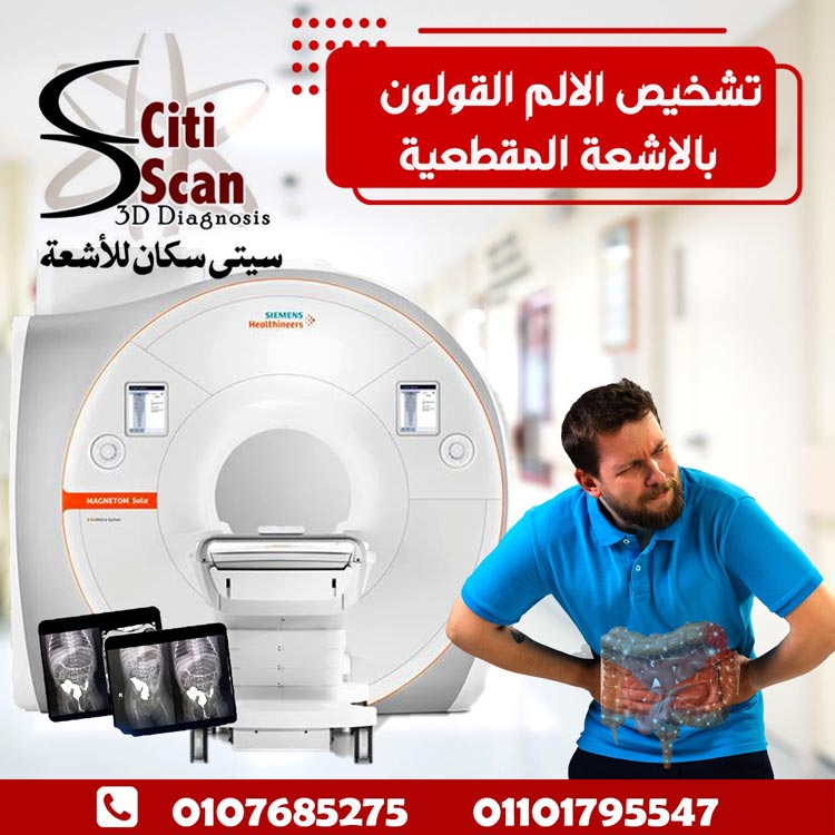 اكادمية+مانشيستر+سيتي in Egypt | Egypt Yellow Pages